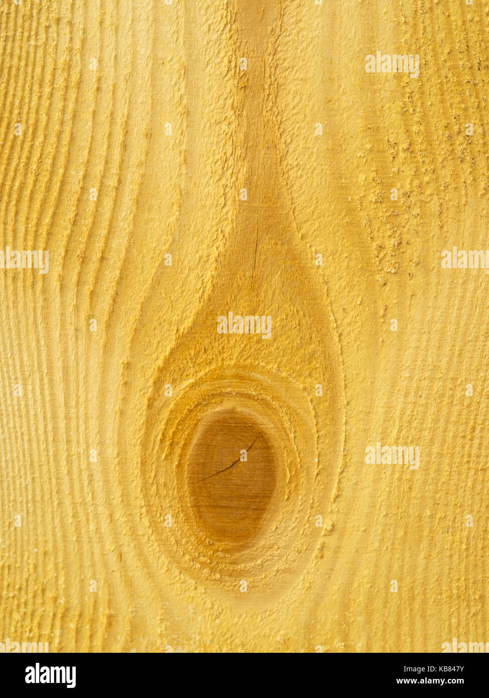 Textur aus Holz Kiefer Bretter. natürliche Textur mit einem warmen ...