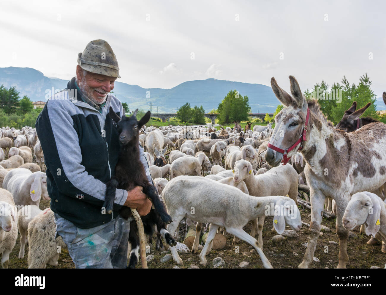 Hirte und seine herde -Fotos und -Bildmaterial in hoher Auflösung – Alamy