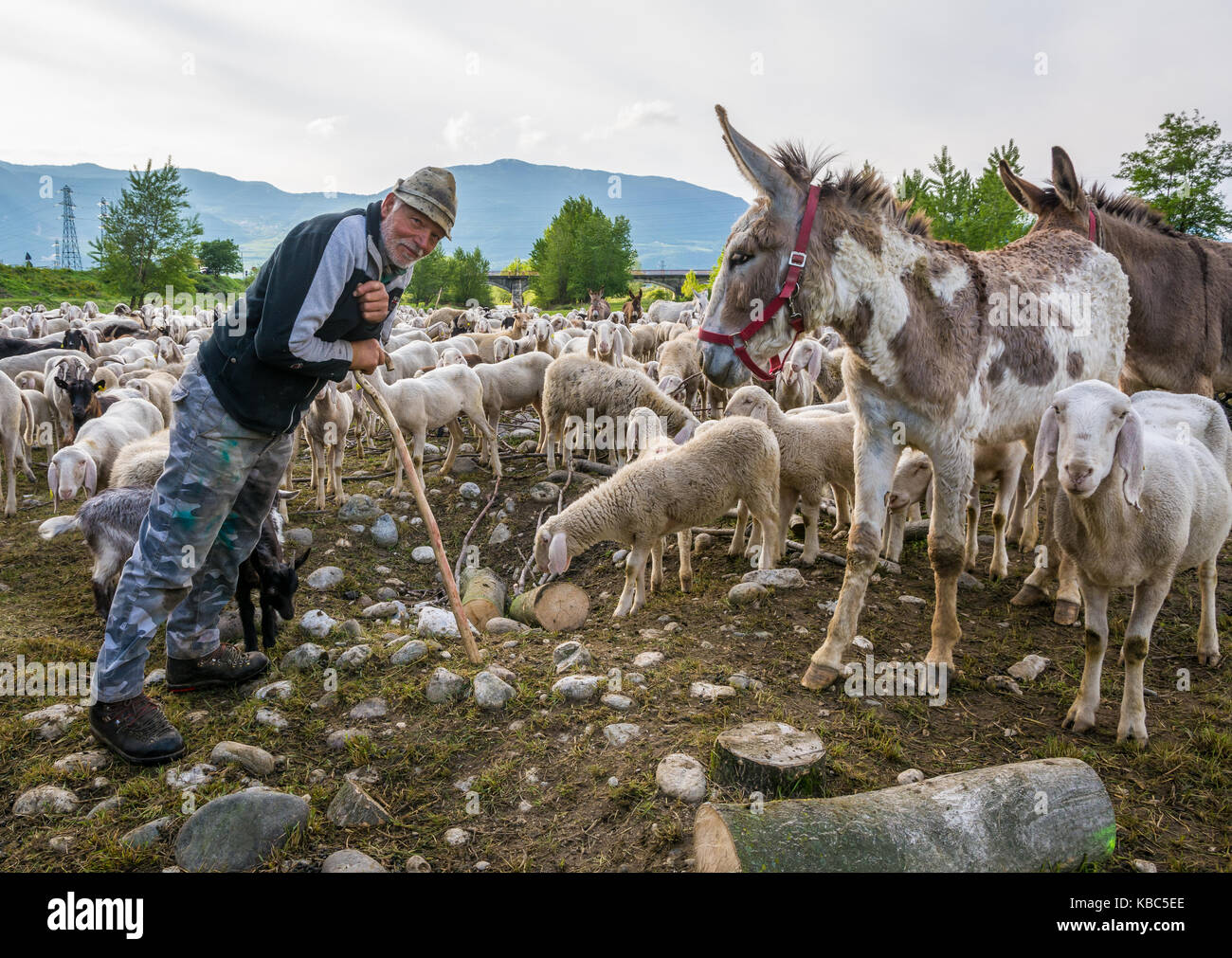 Schäfer mit schaf -Fotos und -Bildmaterial in hoher Auflösung – Alamy