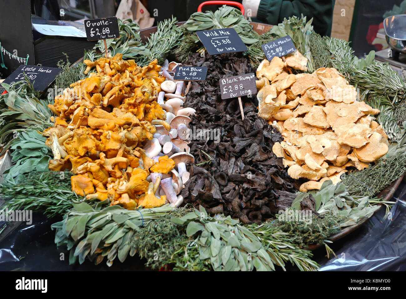 Wilde pilzmischung -Fotos und -Bildmaterial in hoher Auflösung – Alamy