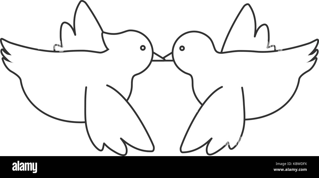 Tauben Vögel Symbol auf weißem Hintergrund Vector Illustration Stock ...