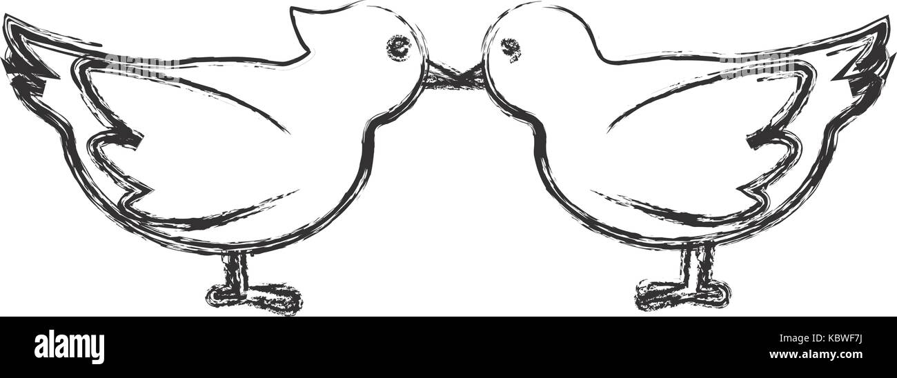 Tauben Vögel Symbol auf weißem Hintergrund Vector Illustration Stock ...