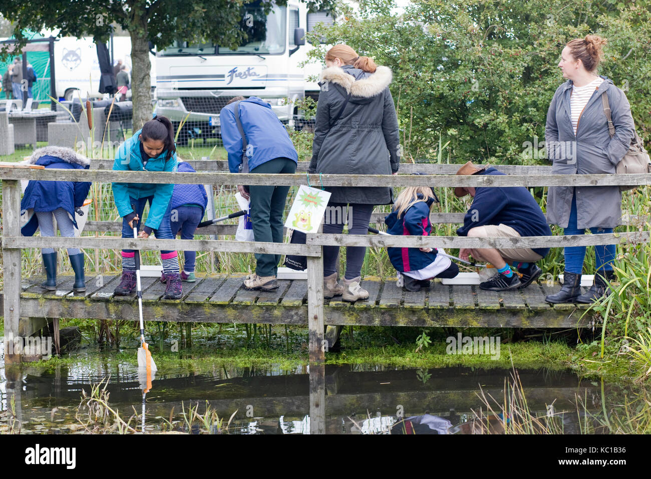 Kinder fangen froschbrut -Fotos und -Bildmaterial in hoher Auflösung ...