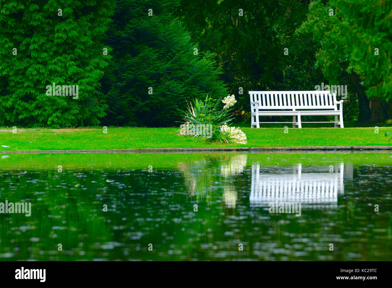 Bank baum sommer bank baum -Fotos und -Bildmaterial in hoher Auflösung ...