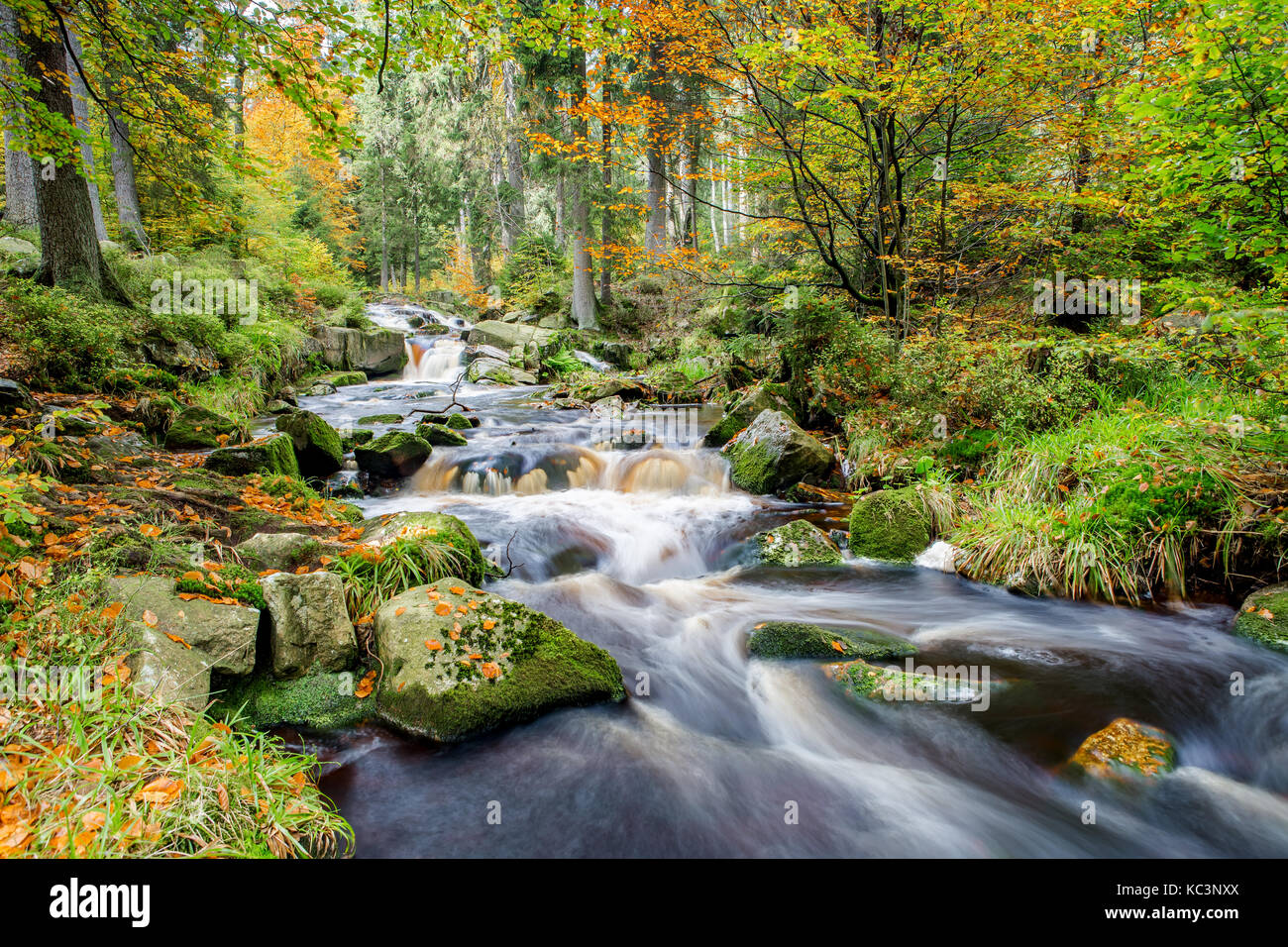 Fluss Bode Stockfotos und -bilder Kaufen - Alamy