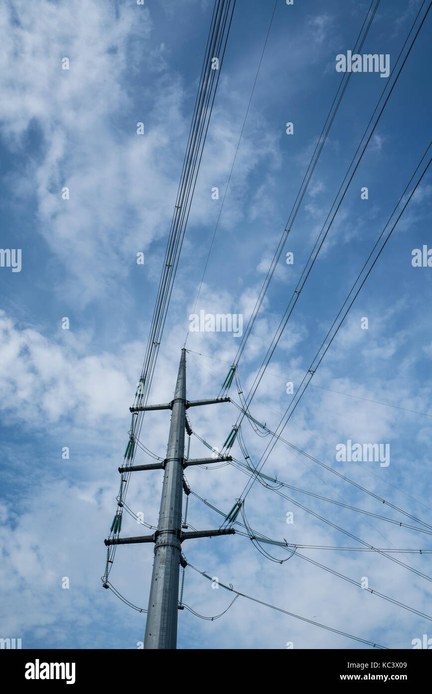 Efeu gitter -Fotos und -Bildmaterial in hoher Auflösung – Alamy