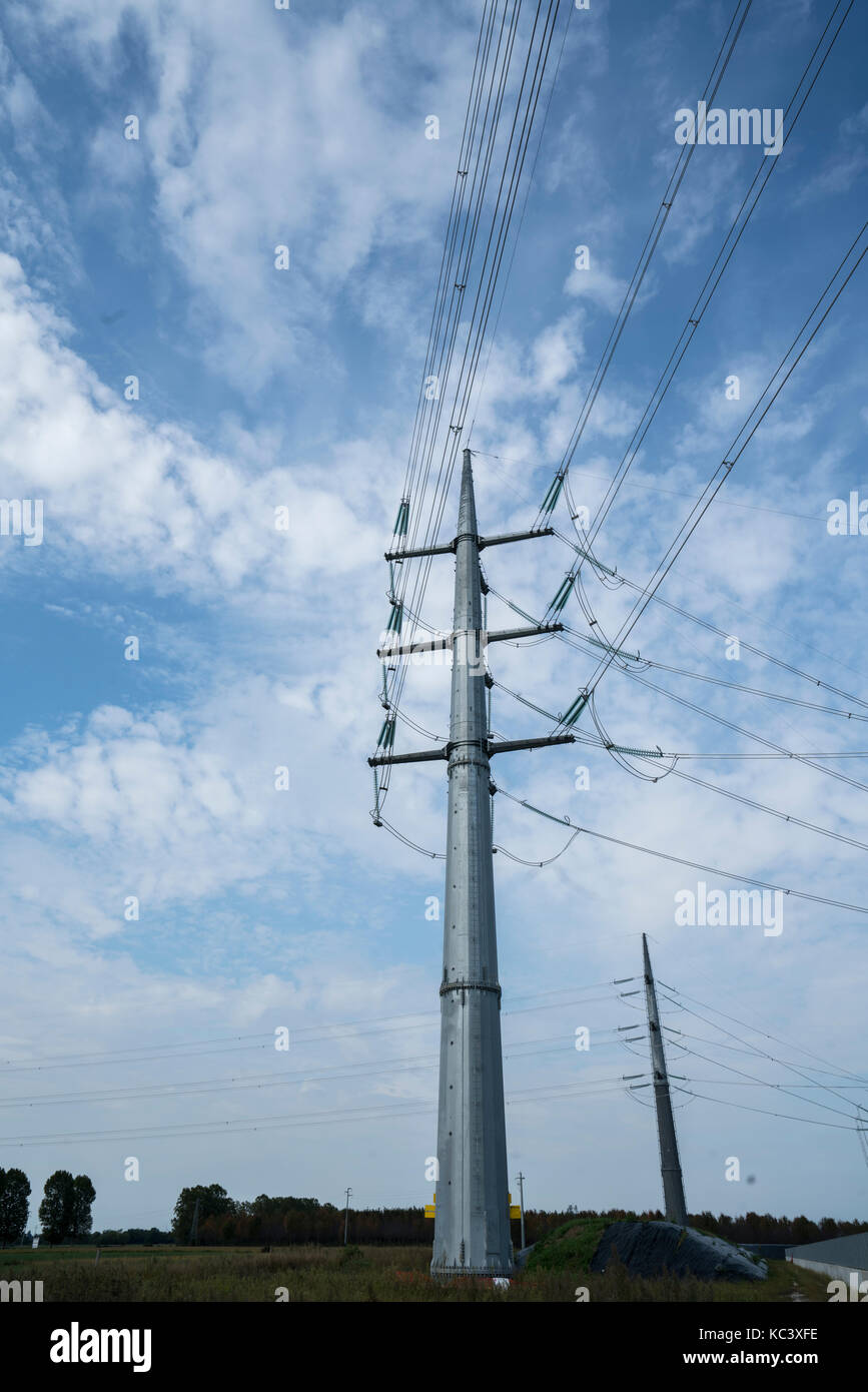 Efeu gitter -Fotos und -Bildmaterial in hoher Auflösung – Alamy