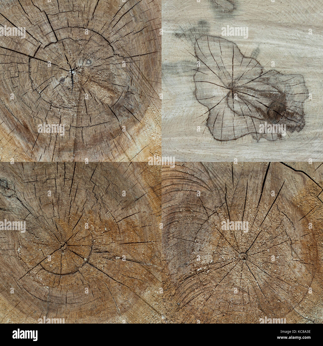 High resolution white wood texture -Fotos und -Bildmaterial in hoher ...