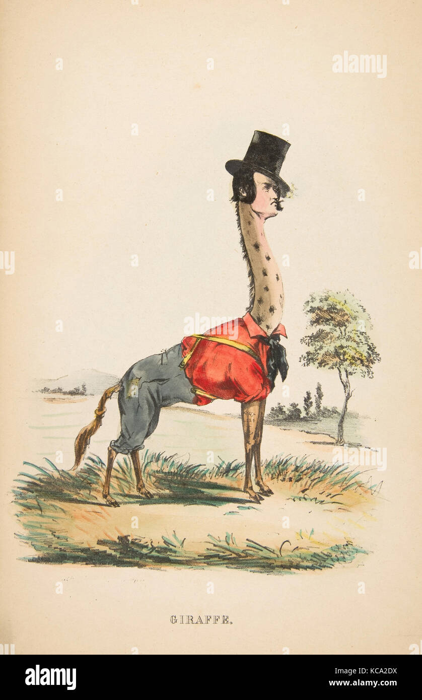 Giraffe (John E. Owens als Jakey), aus dem Comic natürliche Geschichte ...