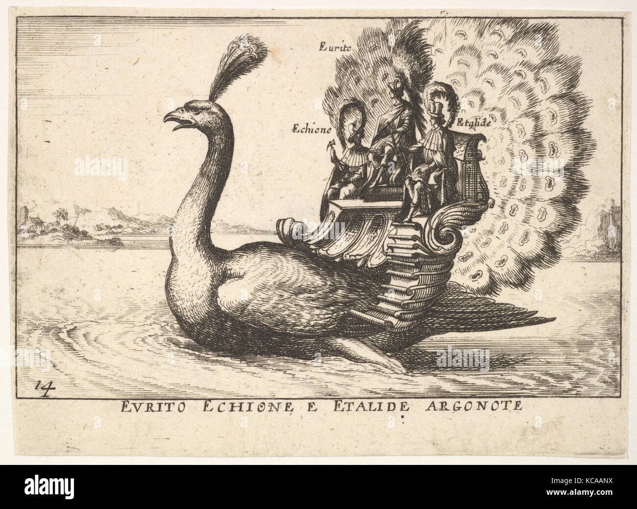 Argonauten eurytus -Fotos und -Bildmaterial in hoher Auflösung – Alamy