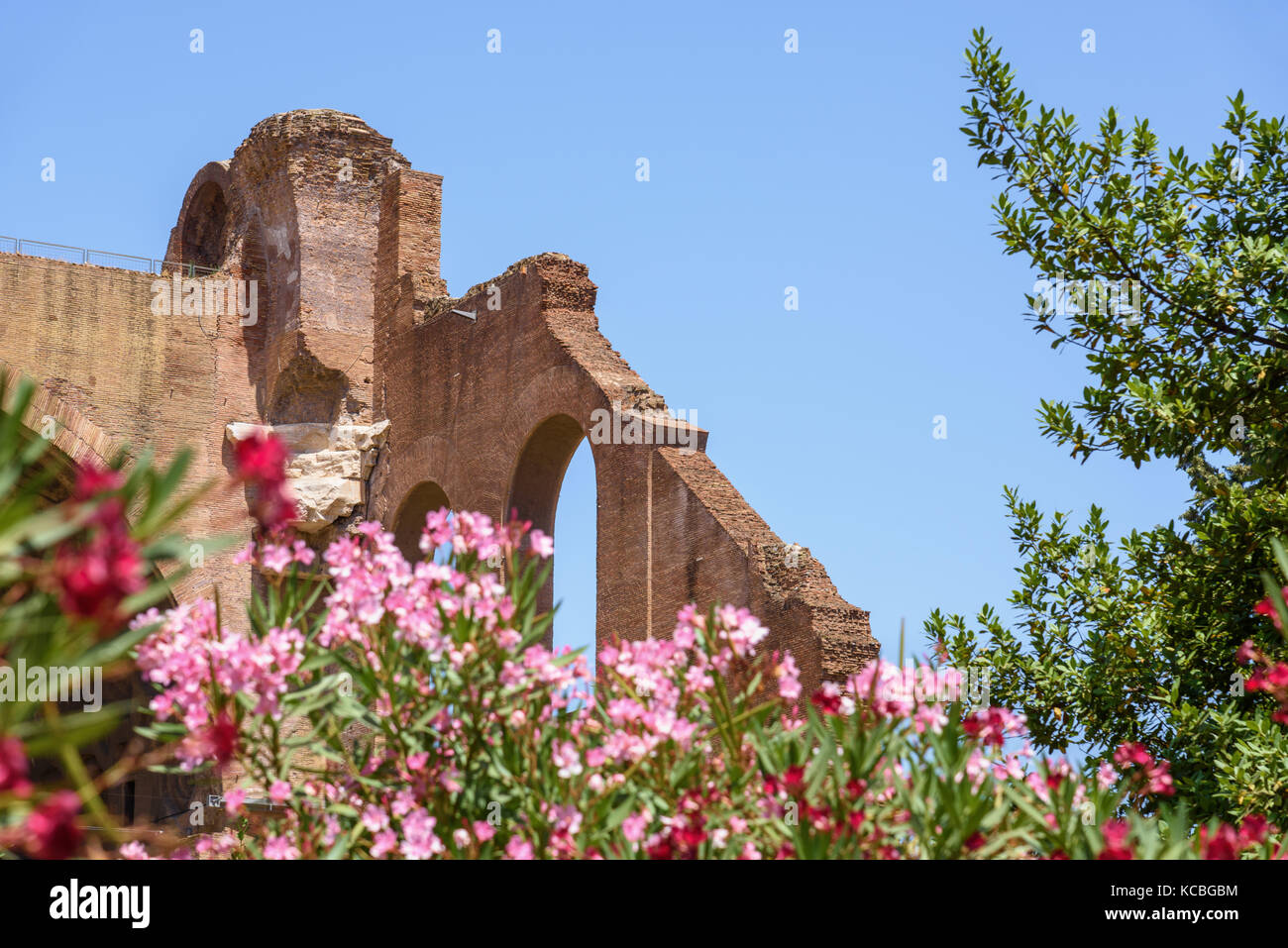 Maxentius basilica -Fotos und -Bildmaterial in hoher Auflösung – Alamy