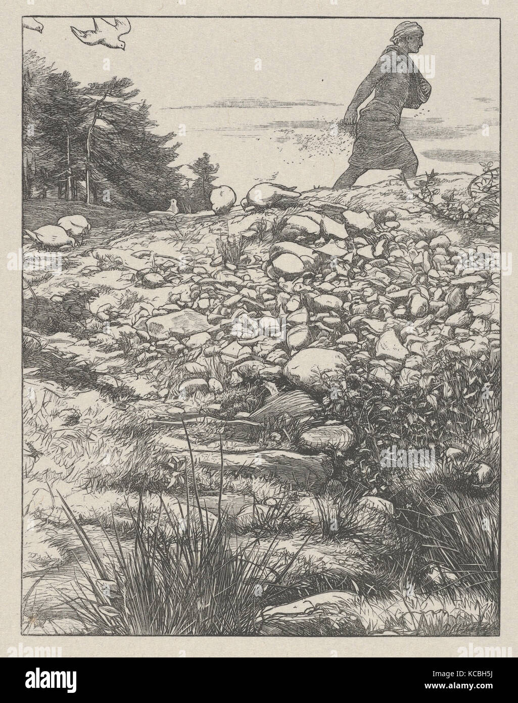 Gleichnisse von jesus -Fotos und -Bildmaterial in hoher Auflösung – Alamy