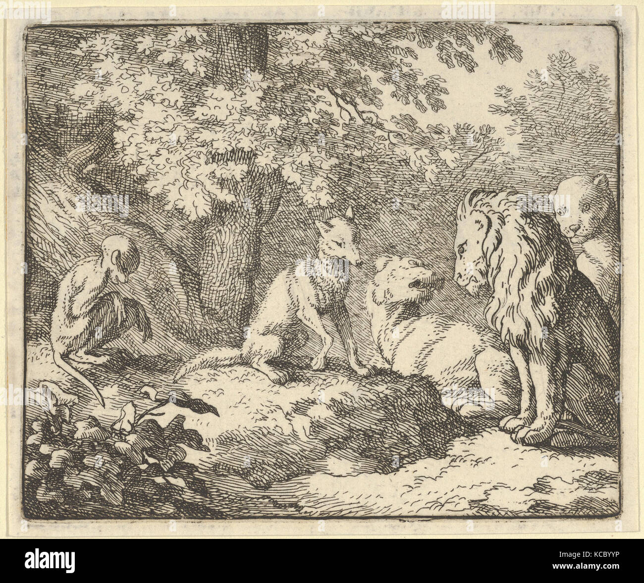 Renard coninues -Fotos und -Bildmaterial in hoher Auflösung – Alamy