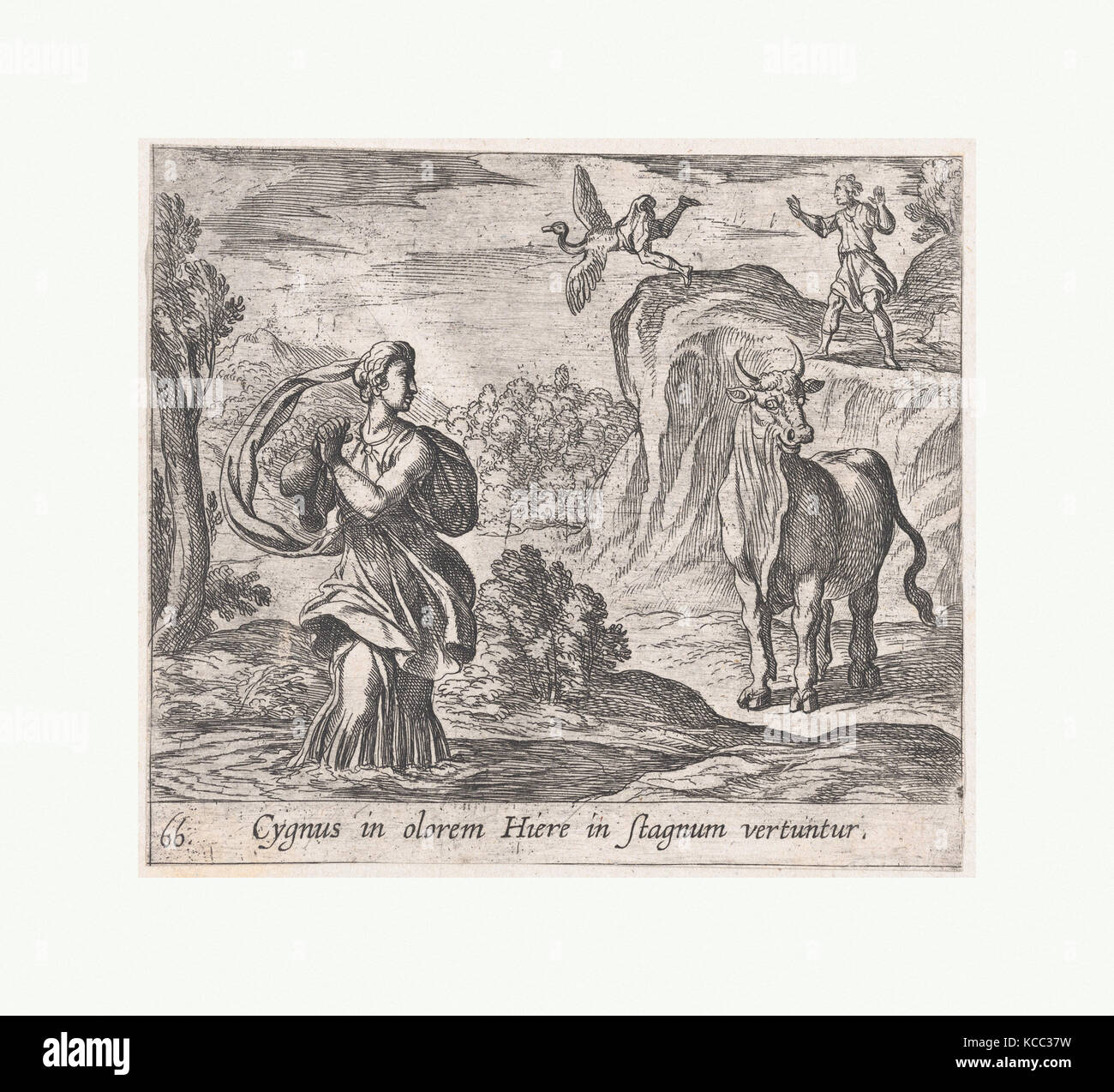 Cycnus und hyrie -Fotos und -Bildmaterial in hoher Auflösung – Alamy