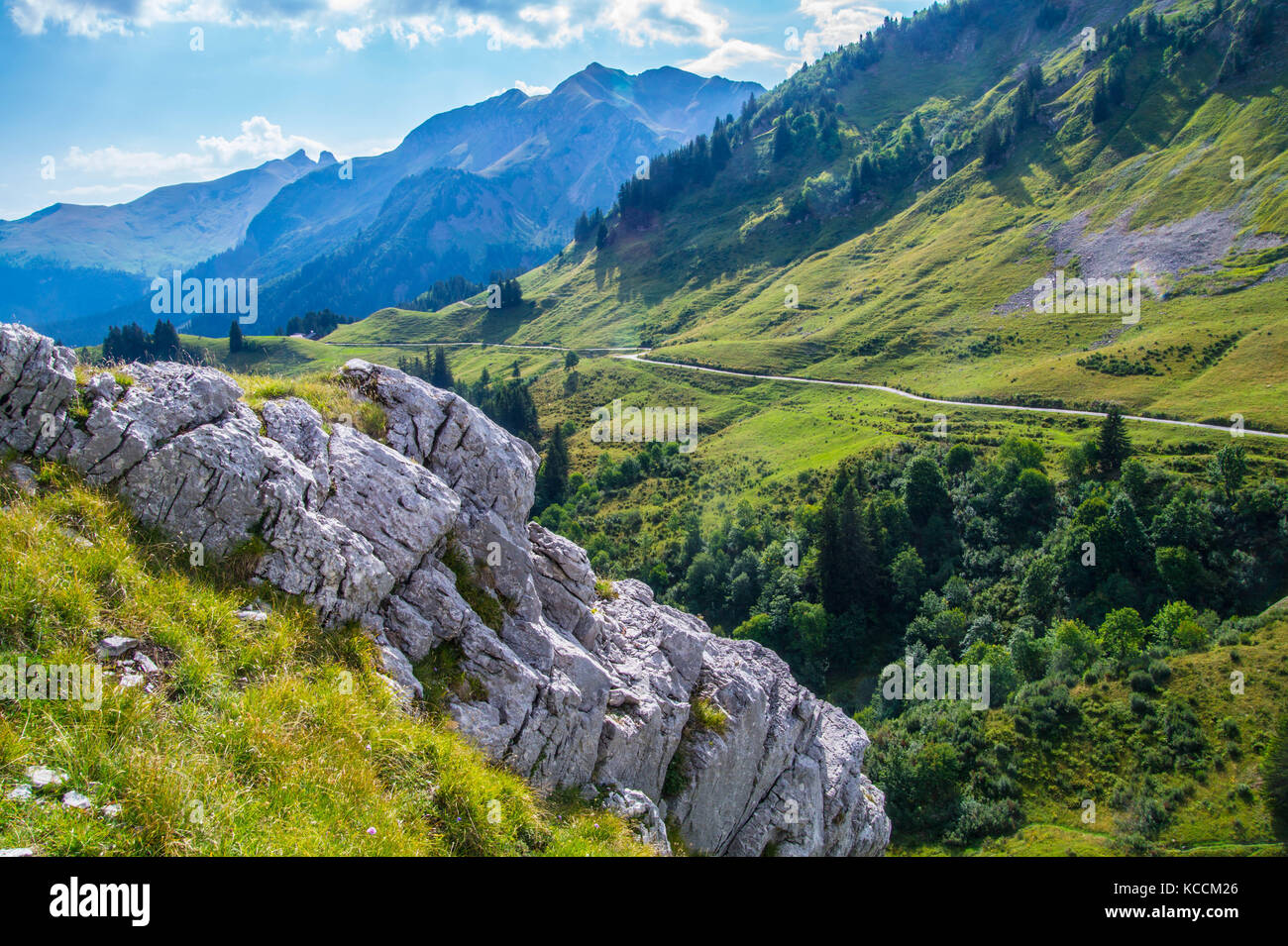 Schmetterling in den alpen -Fotos und -Bildmaterial in hoher Auflösung ...