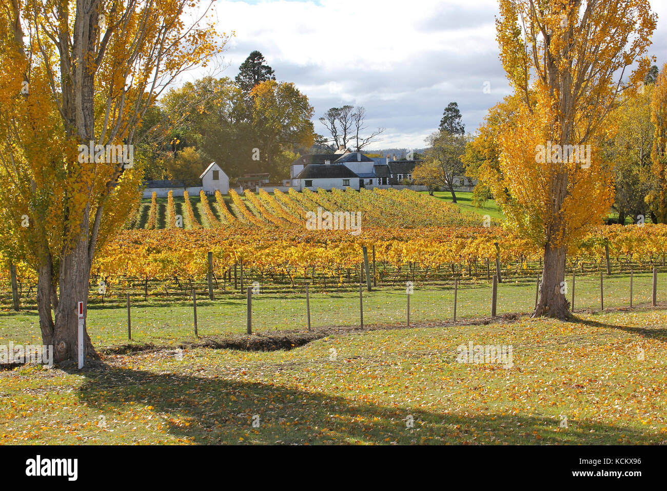 Mary reibey -Fotos und -Bildmaterial in hoher Auflösung – Alamy