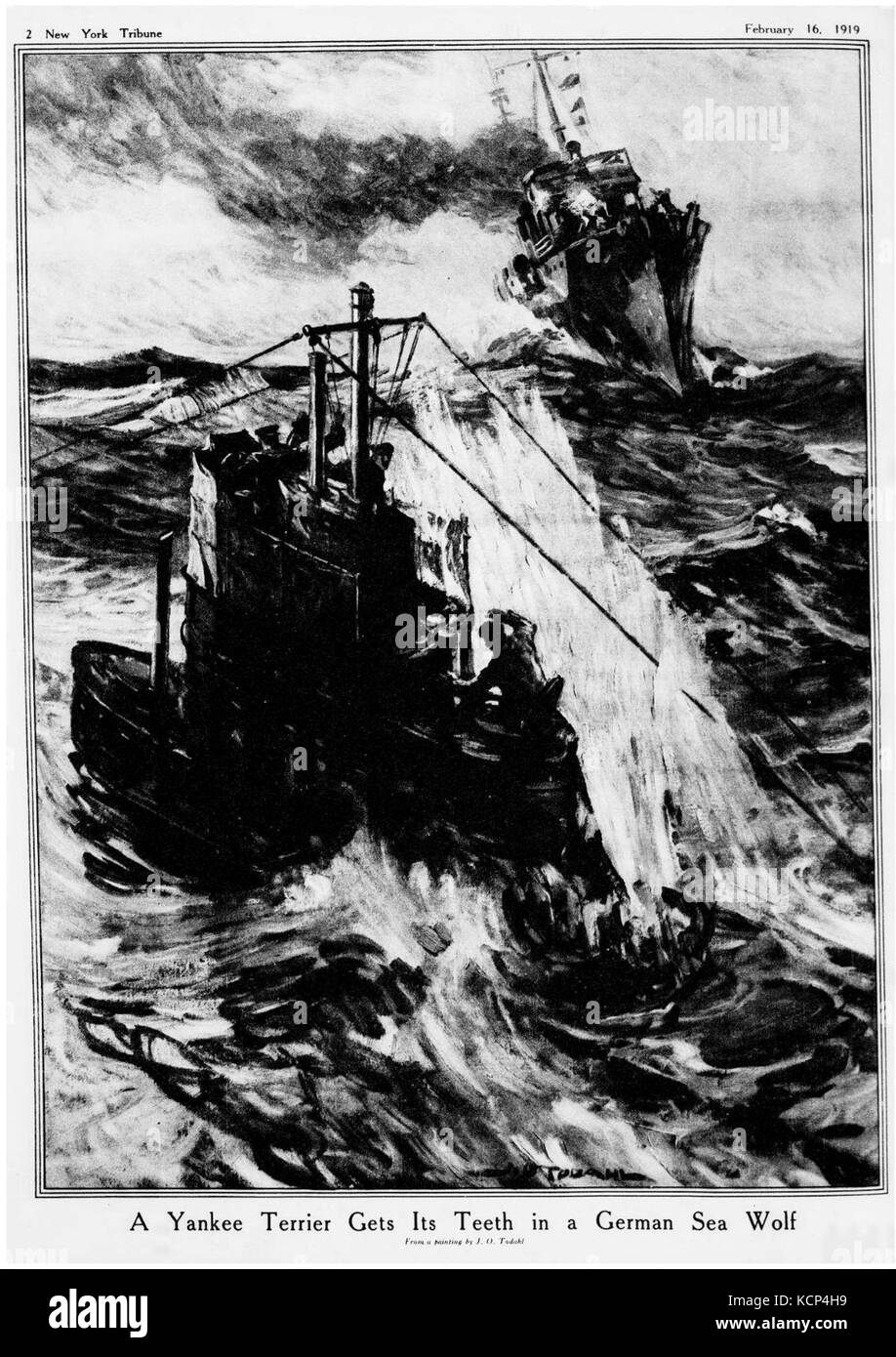 Yankee terrier -Fotos und -Bildmaterial in hoher Auflösung – Alamy