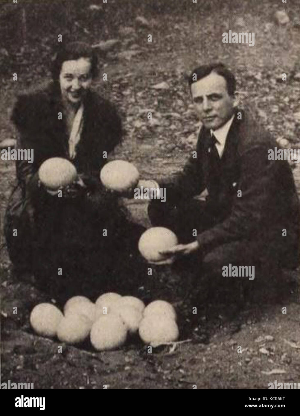 Helen eddy -Fotos und -Bildmaterial in hoher Auflösung – Alamy