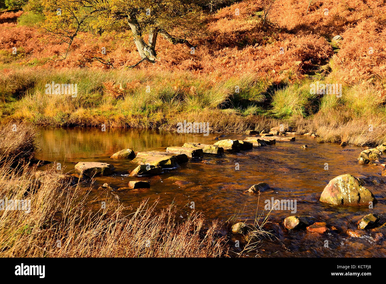 Wheeldale Beck Stockfotos und -bilder Kaufen - Alamy
