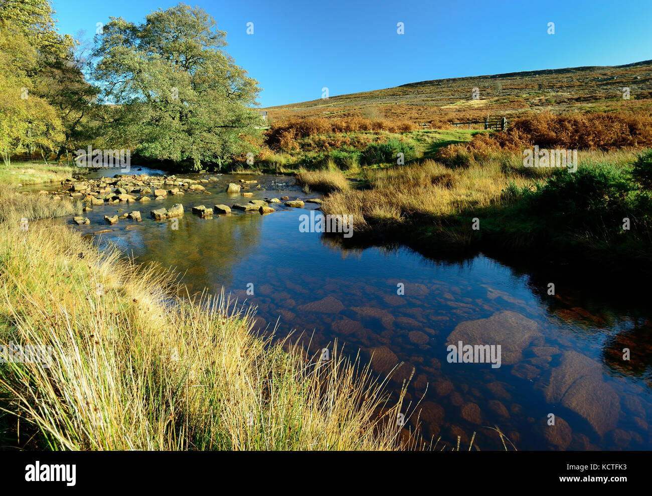 Wheeldale beck -Fotos und -Bildmaterial in hoher Auflösung – Alamy