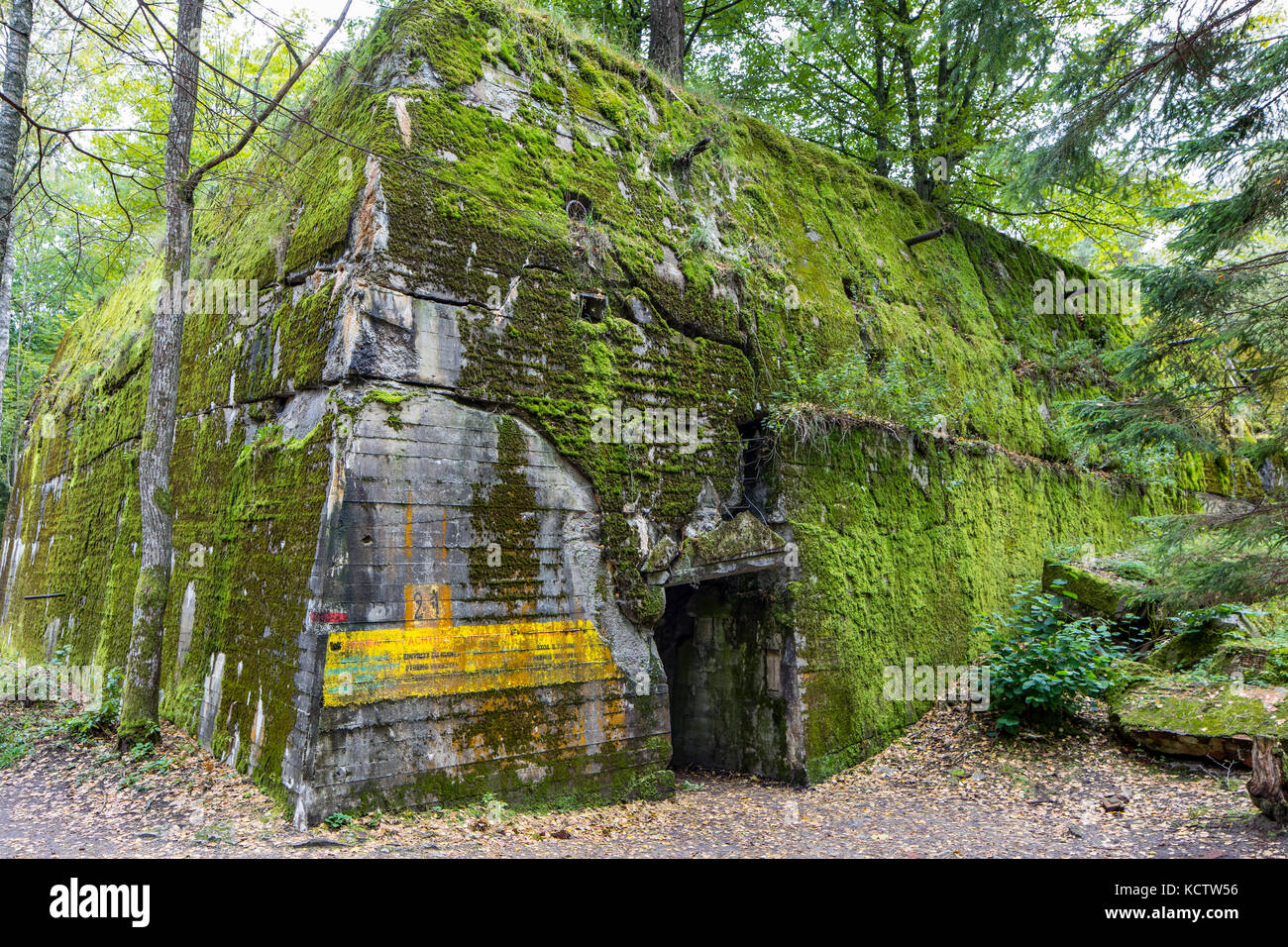 Wolfschanze, Wolf's Lair, der Wolf fort - Adolf Hitler Hauptquartier an ...