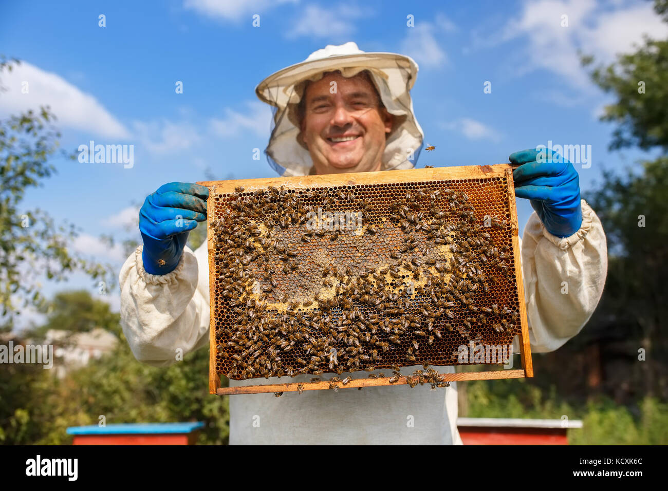 Imker mit Waben Stockfotografie - Alamy