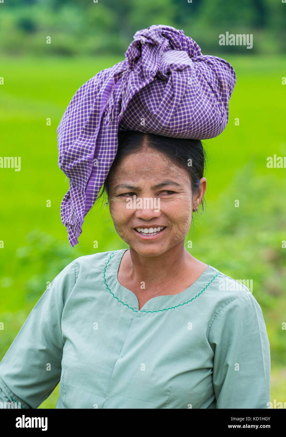 Rice field worker -Fotos und -Bildmaterial in hoher Auflösung – Alamy