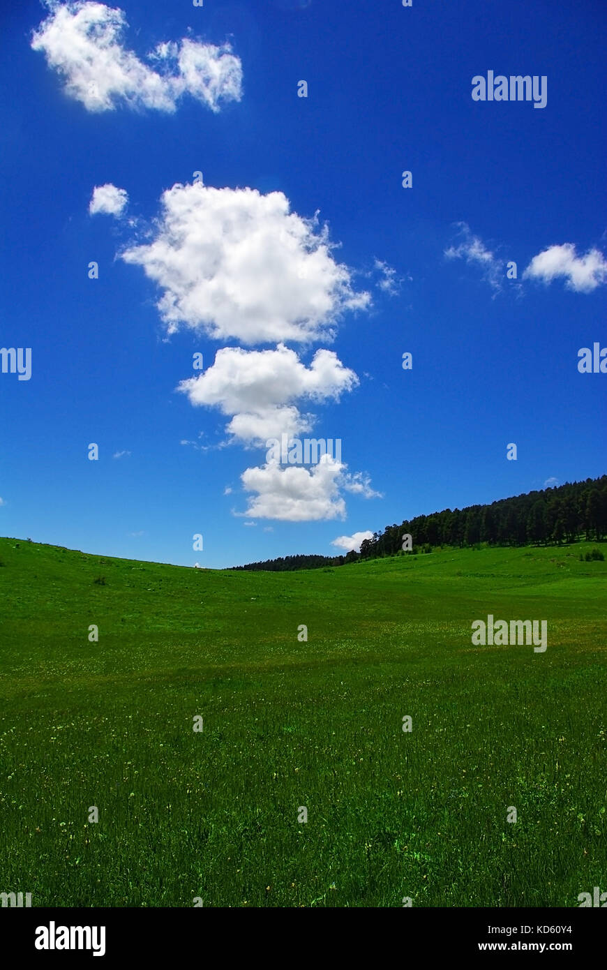 Rasen und almwiese -Fotos und -Bildmaterial in hoher Auflösung – Alamy
