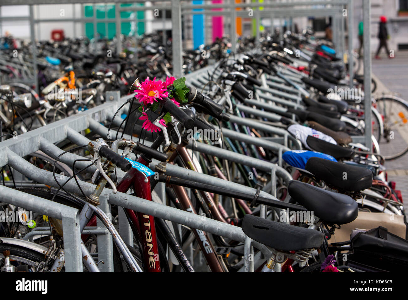 Parkplatz für Fahrräder steht in einer Stadt, viele Fahrräder werden ...