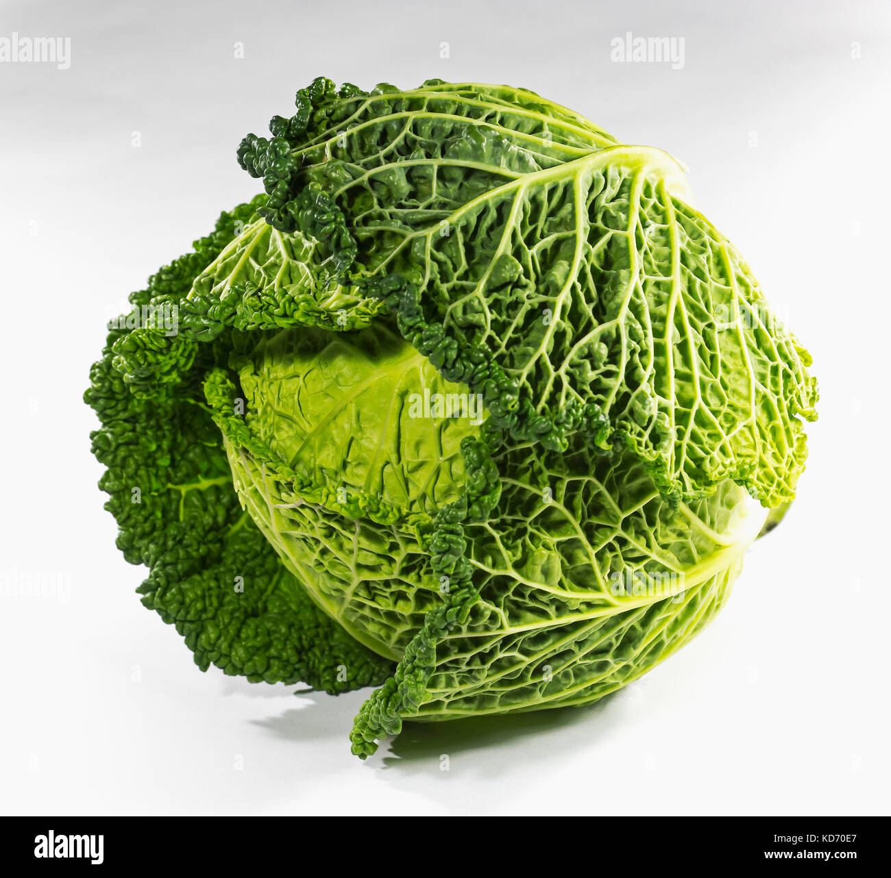 Von Wirsing Stockfotos und -bilder Kaufen - Alamy