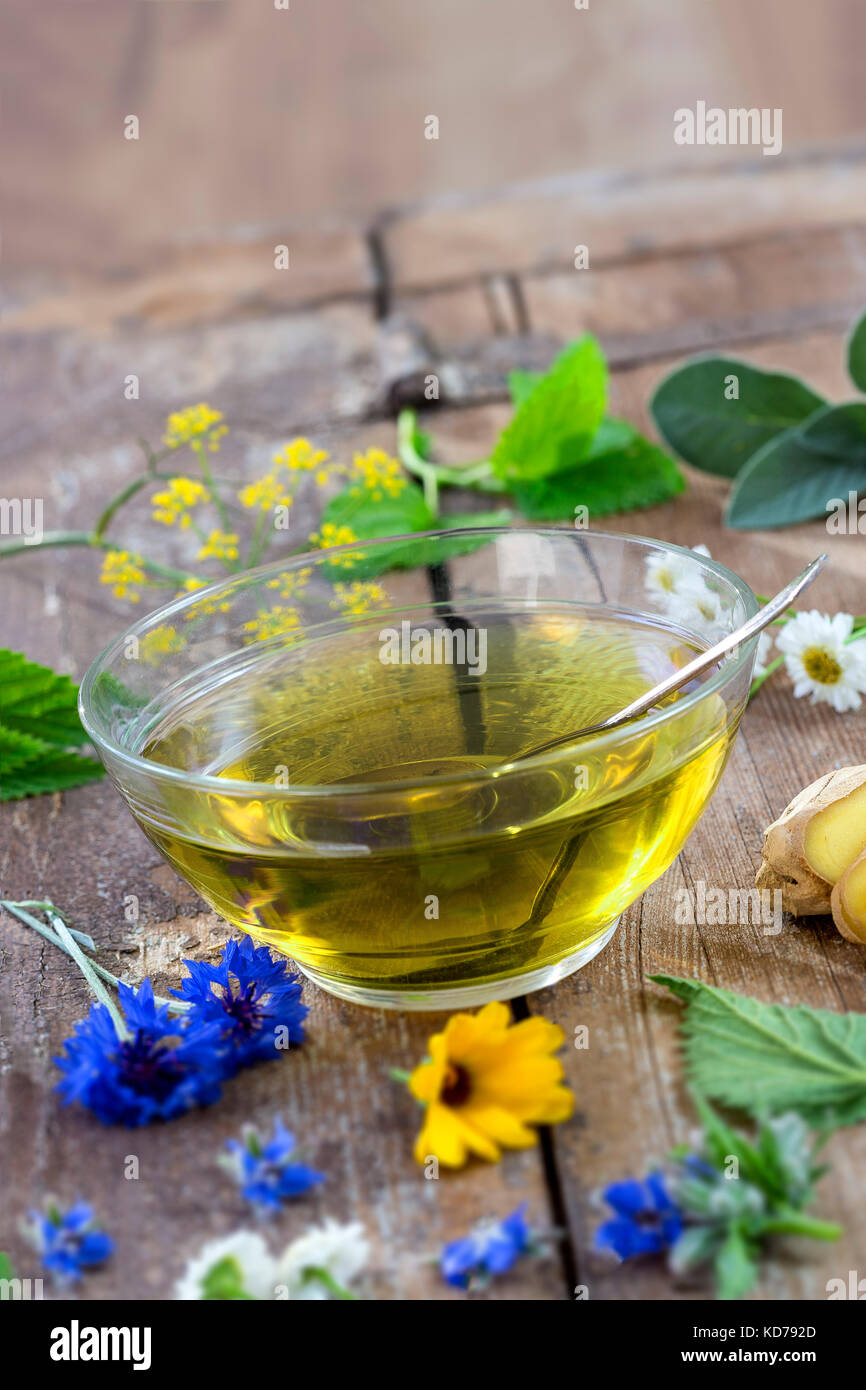 Tasse borretsch tee -Fotos und -Bildmaterial in hoher Auflösung – Alamy