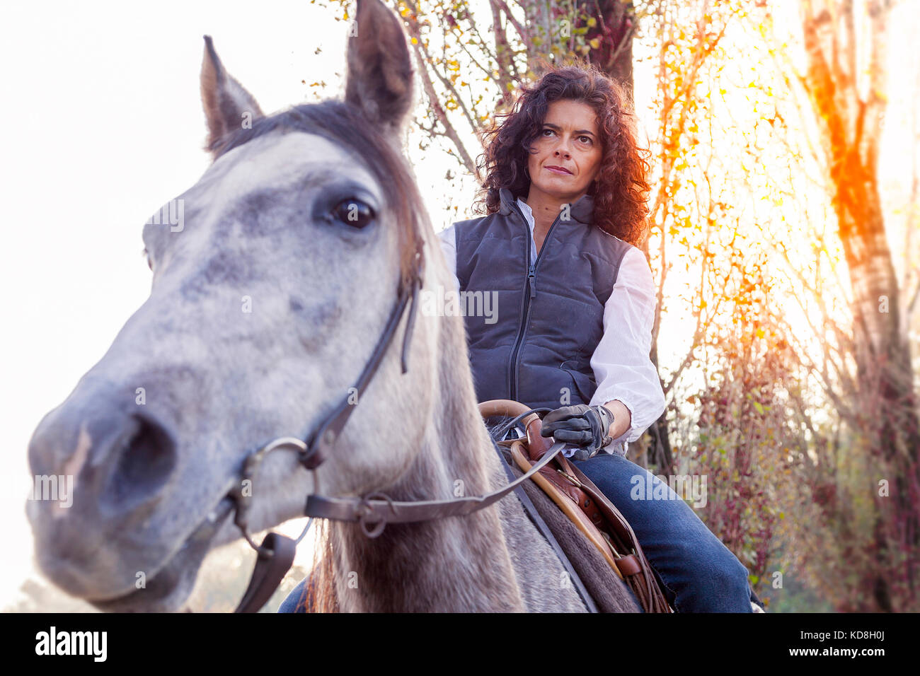 Reiterin im herbst -Fotos und -Bildmaterial in hoher Auflösung – Alamy