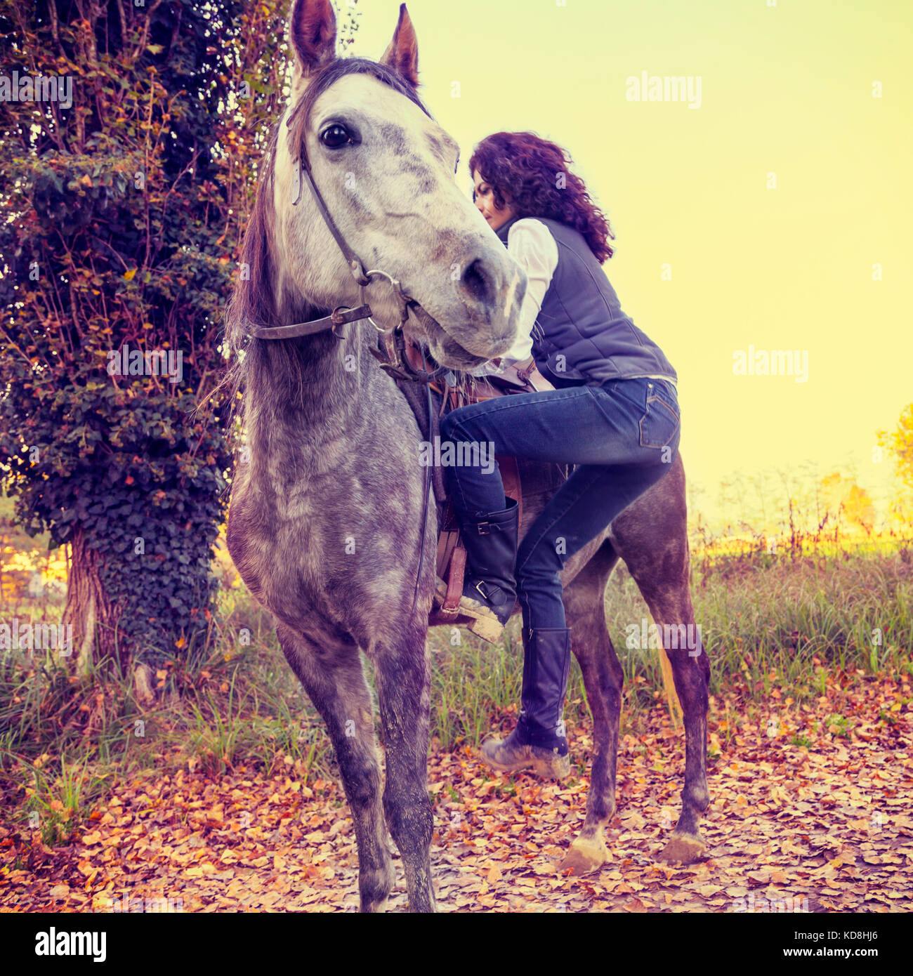 Reiterin liebe -Fotos und -Bildmaterial in hoher Auflösung – Alamy