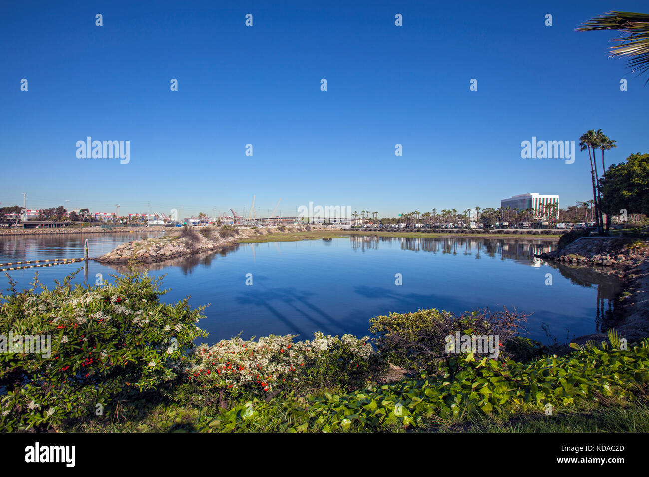 Biologischer reservepark des goldenen ufermarines -Fotos und ...