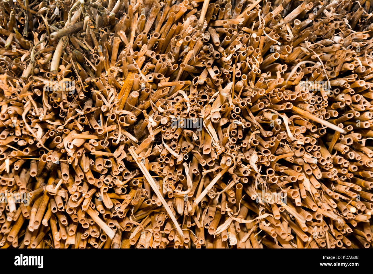 Grass thatch roof -Fotos und -Bildmaterial in hoher Auflösung – Alamy