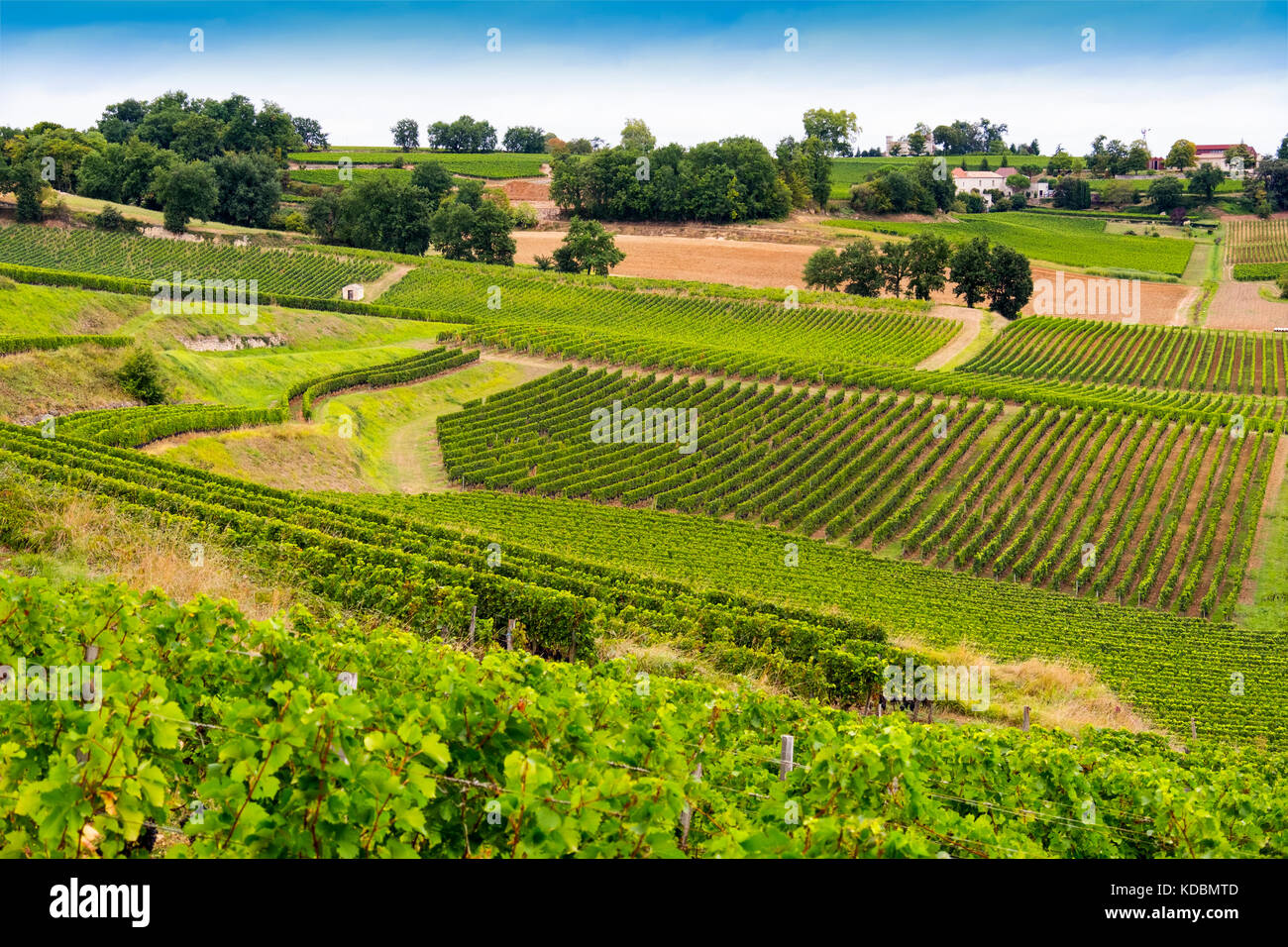 Bordeaux Weinberg Stockfotos & Bordeaux Weinberg Bilder - Alamy
