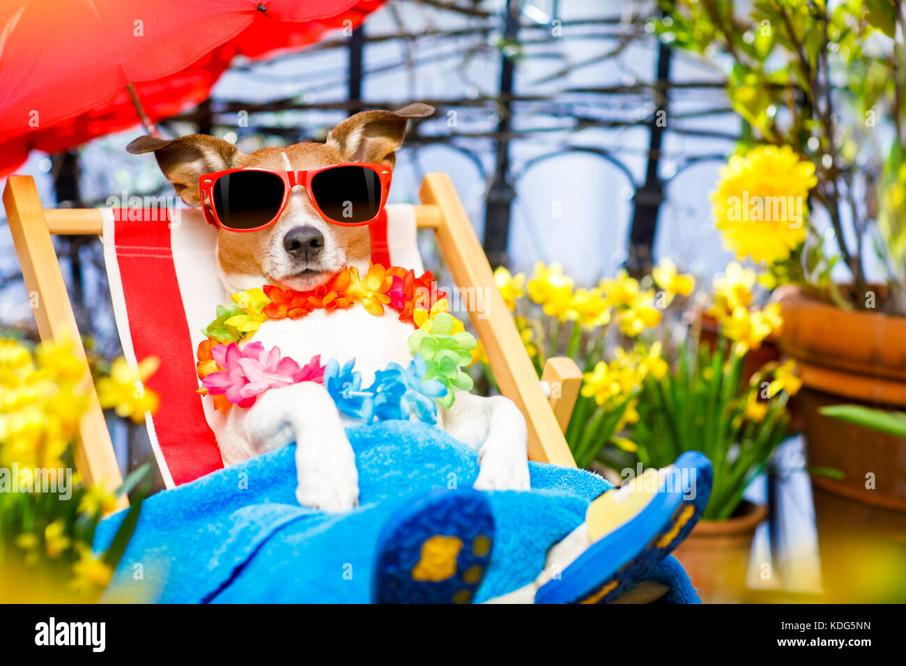 Schatten unter dem balkon -Fotos und -Bildmaterial in hoher Auflösung ...