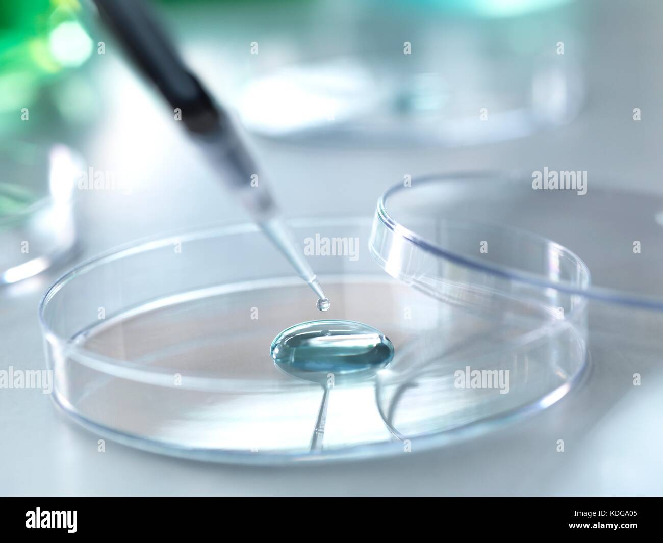 Pipette hinzufügen einer Lösung zu einer Probe bei einem Experiment im ...