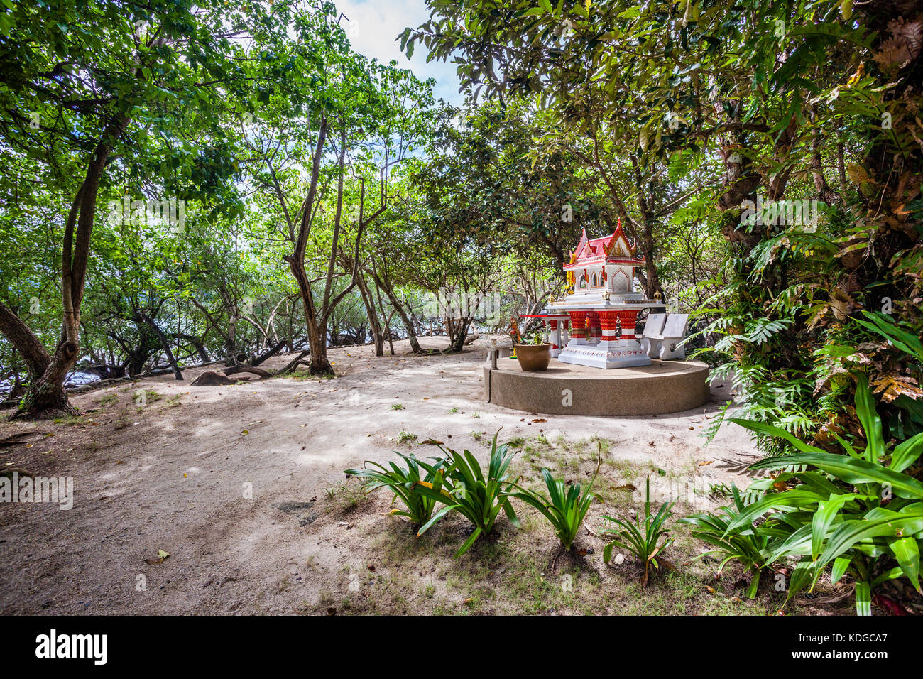 Thailand, Trat Provinz, Koh Chang Insel im Golf von Thailand, Wald ...