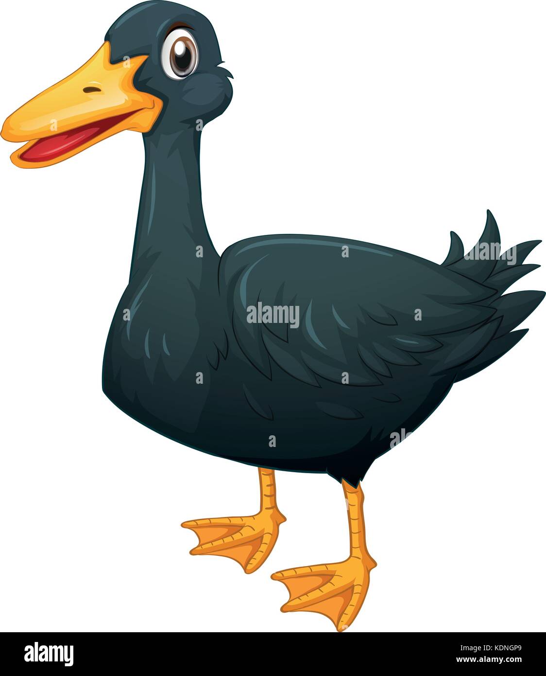 Ente bild clipart -Fotos und -Bildmaterial in hoher Auflösung – Alamy