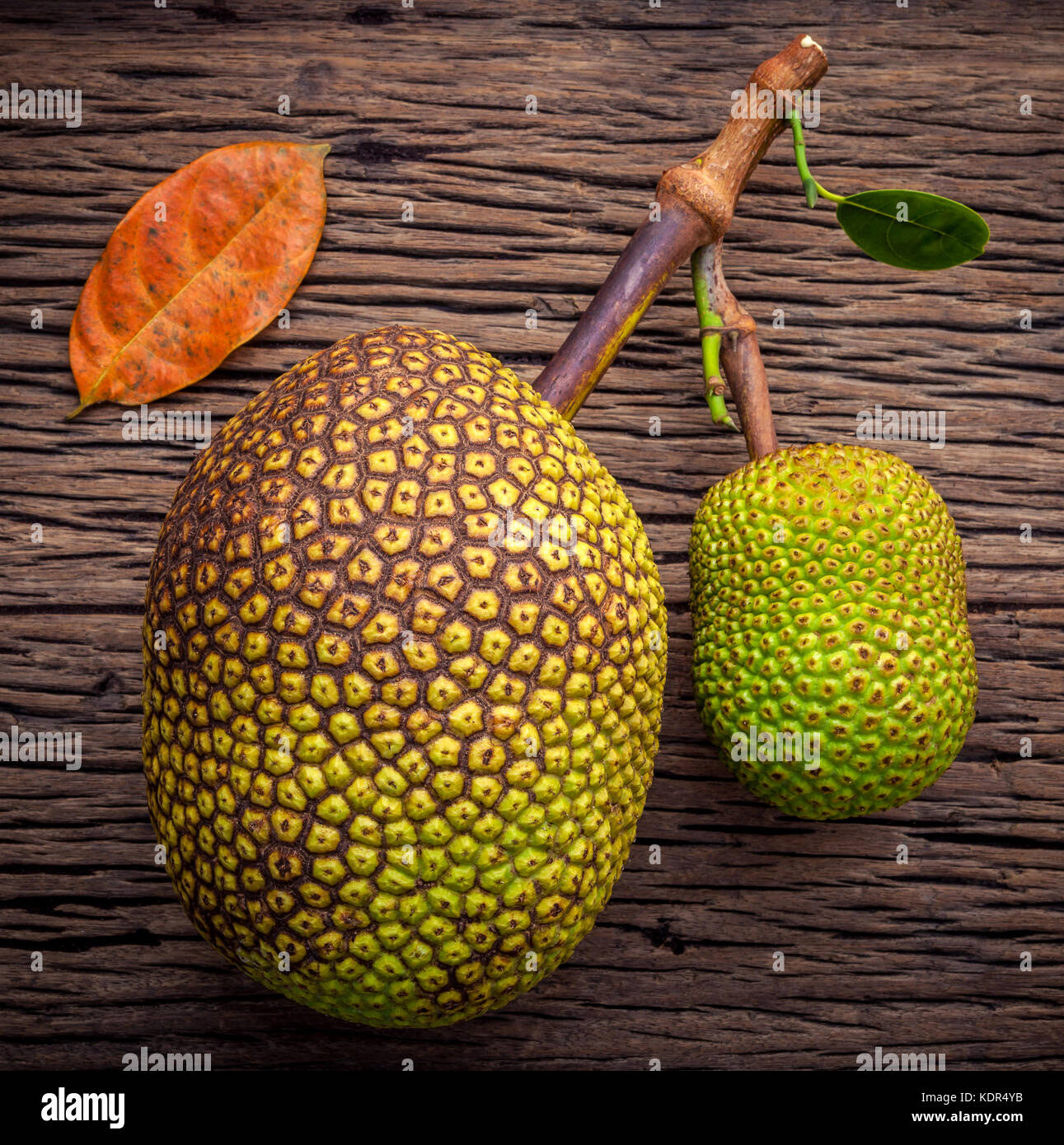 Süße Jack Frucht auf schäbige Holz- Hintergrund. tropische Frucht süß ...