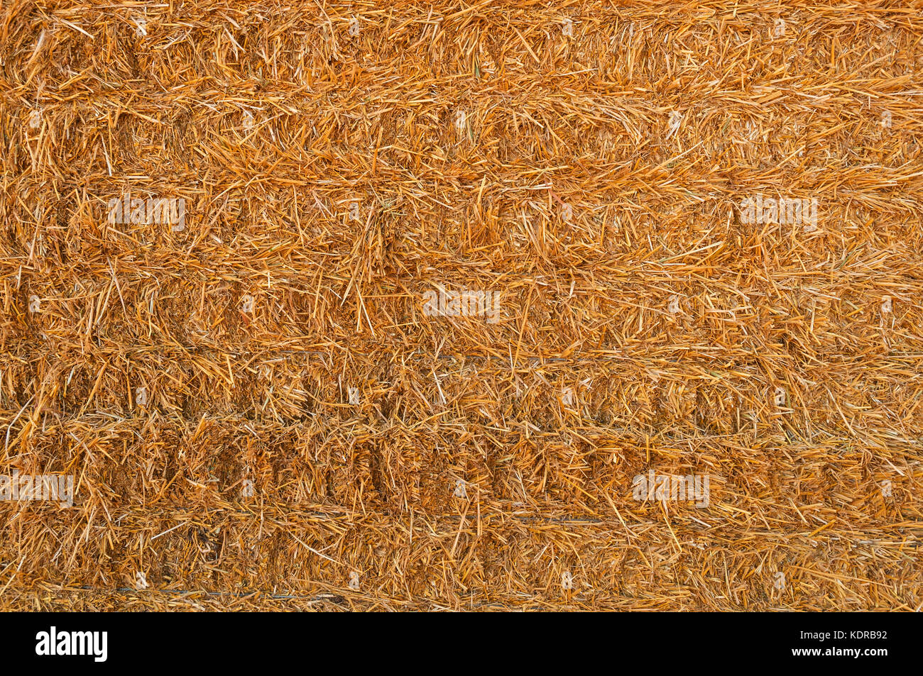 Stroh heu -Fotos und -Bildmaterial in hoher Auflösung – Alamy