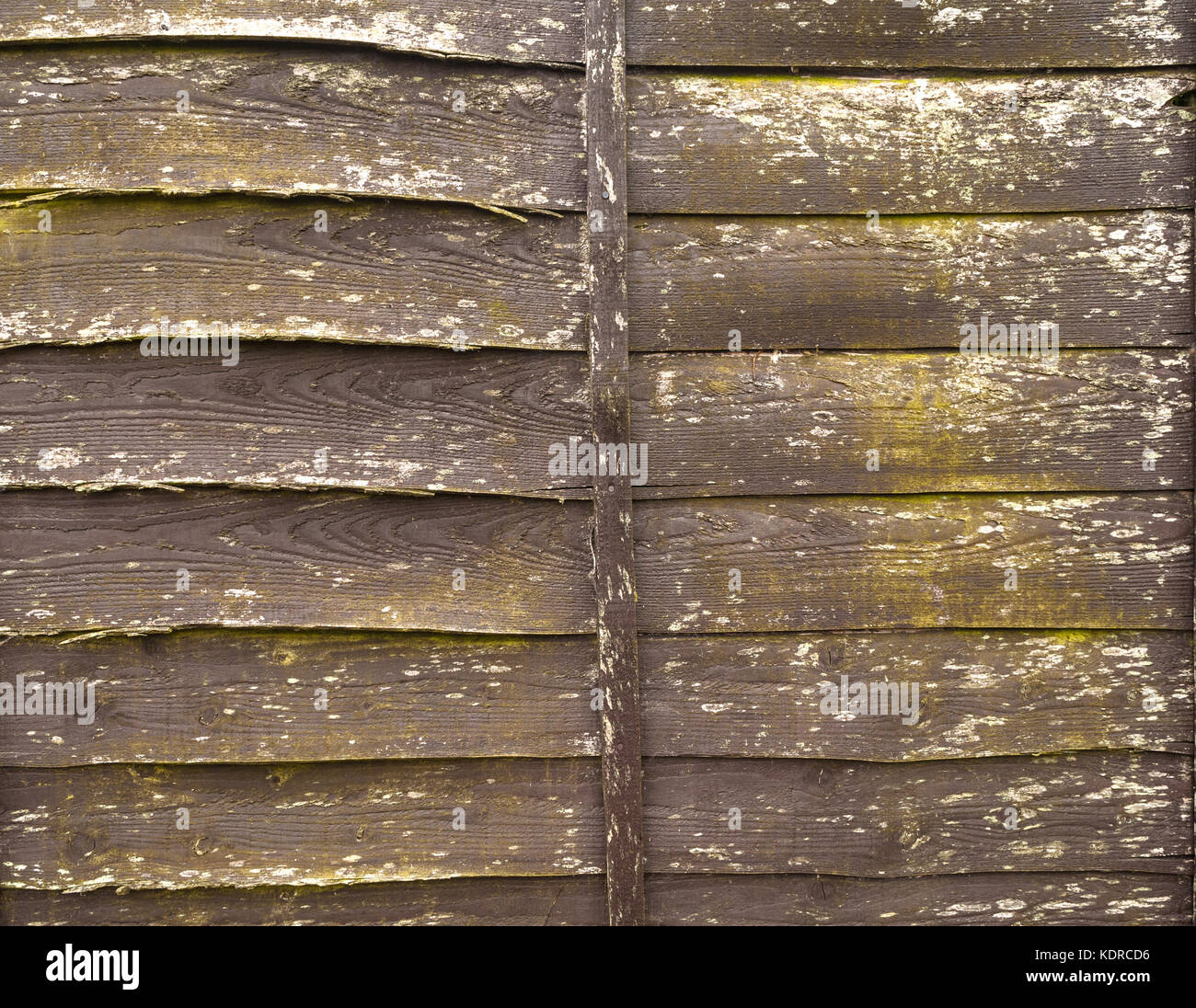 Grobe wartung -Fotos und -Bildmaterial in hoher Auflösung – Alamy