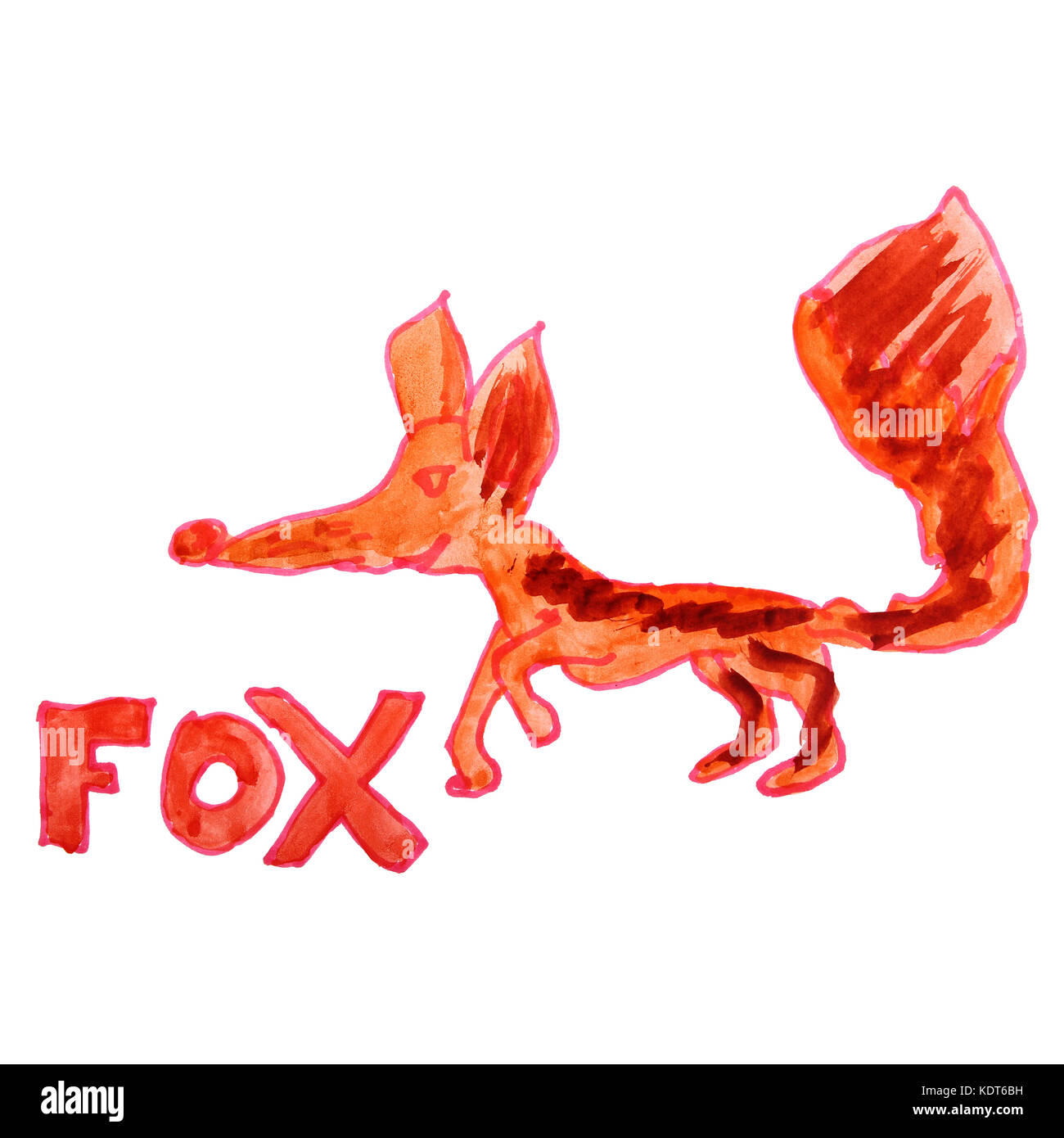 Fuchs pfote tier freigestellt -Fotos und -Bildmaterial in hoher ...