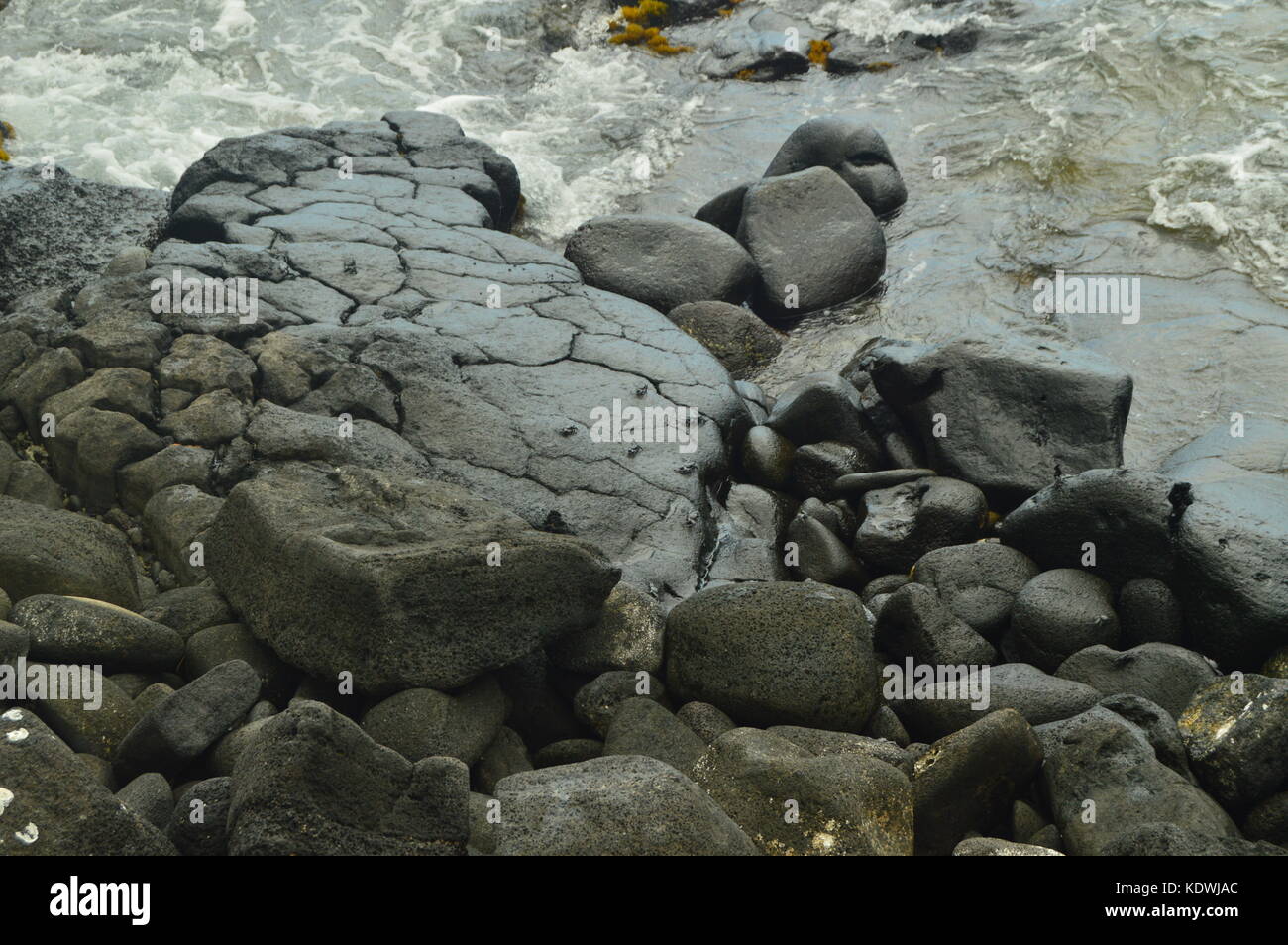 Krabben in hawaii -Fotos und -Bildmaterial in hoher Auflösung – Alamy