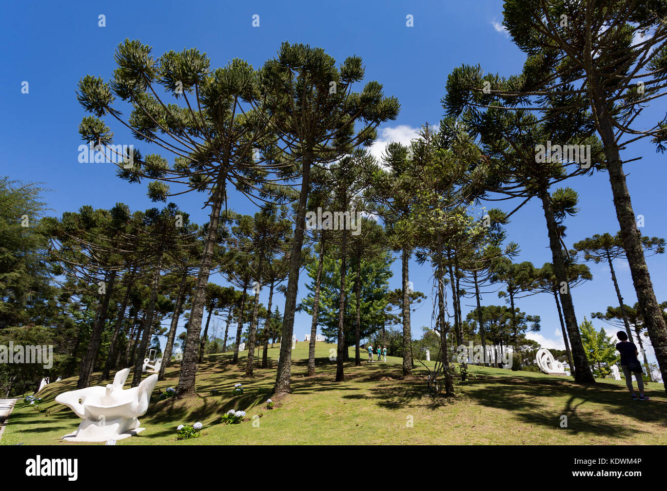 Museu felicia leirner und auditorio claudio santoro -Fotos und ...