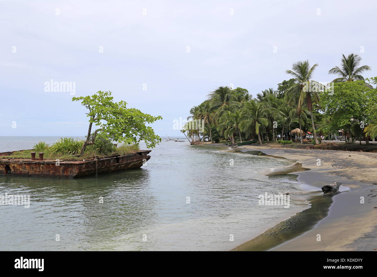 El Lanchón, Playa El Chino, Puerto Viejo, Limón Province, Karibik ...