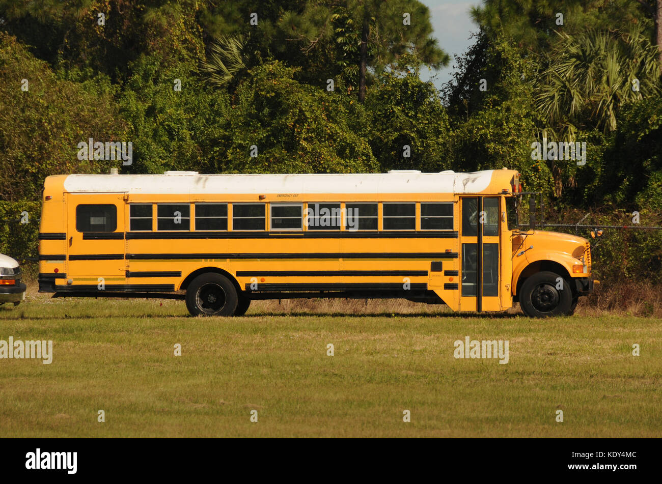 Yellow School Bus auf grünem Gras geparkt Stockfotografie - Alamy