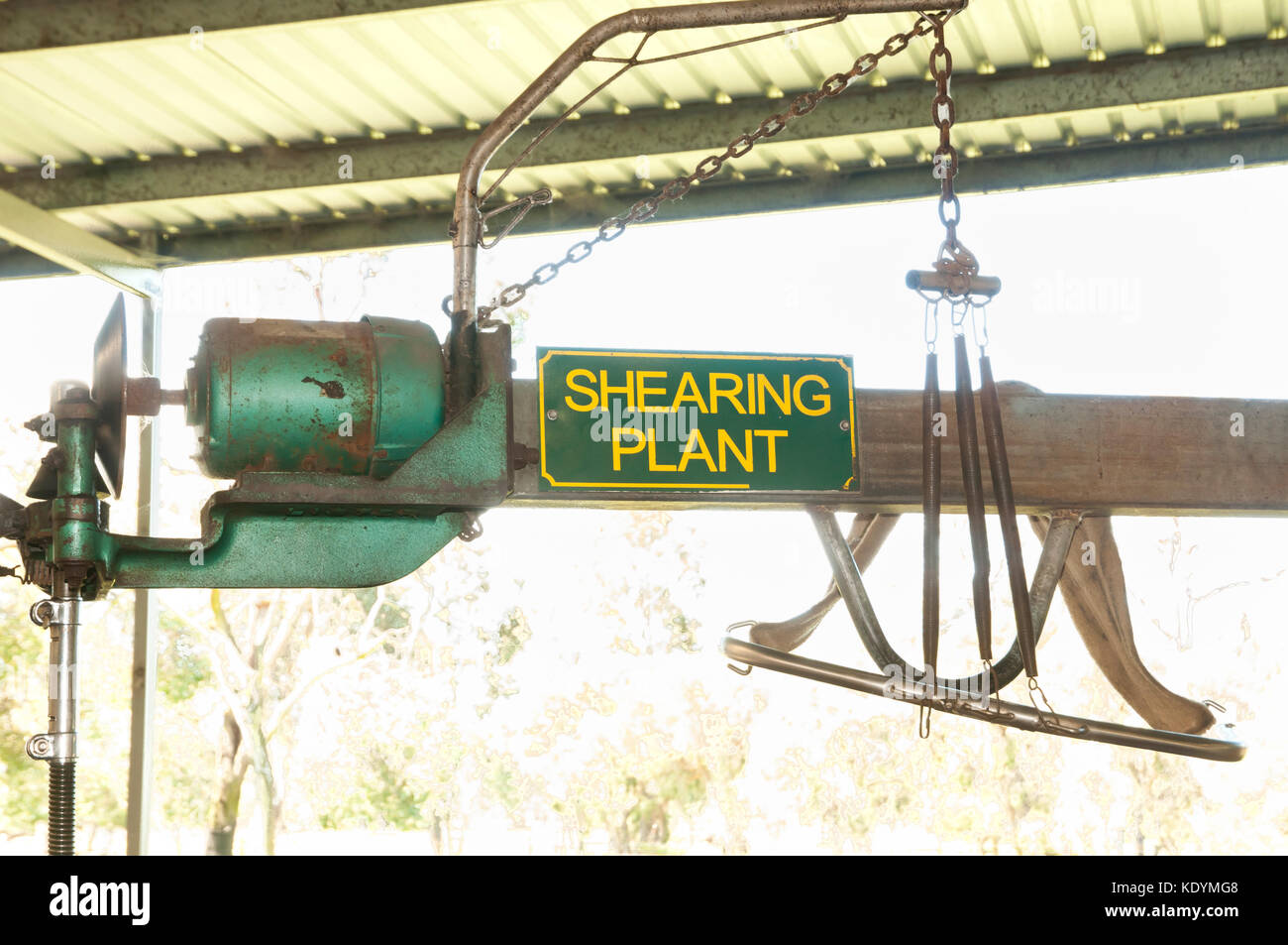Schere schermaschine -Fotos und -Bildmaterial in hoher Auflösung – Alamy
