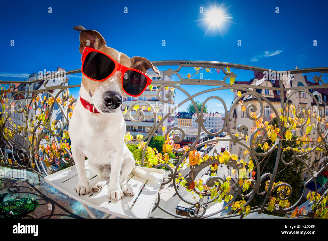 Dummer jack -Fotos und -Bildmaterial in hoher Auflösung – Alamy